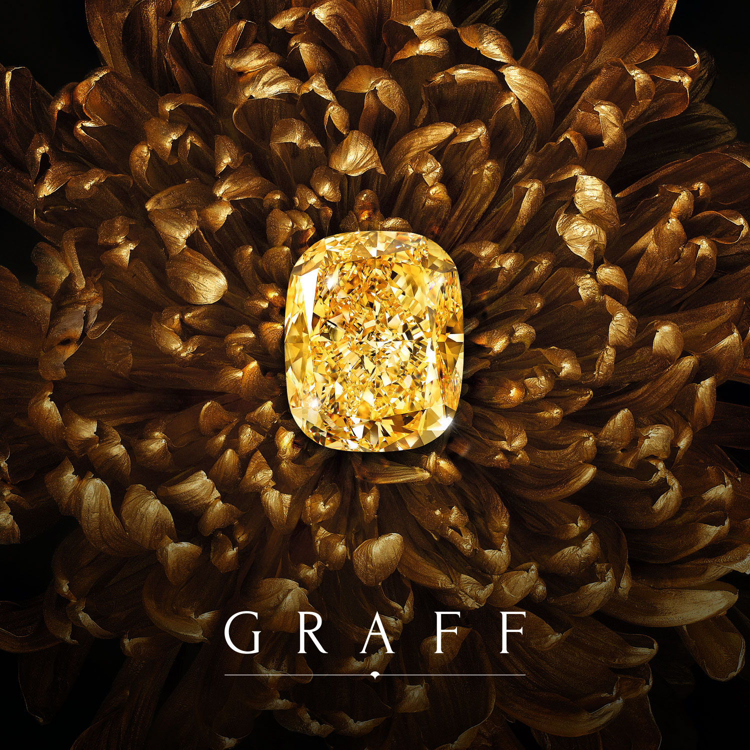 Graff Web Site Design | Camber Limited